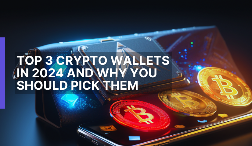 Top 3 Crypto Wallets in 2024 and Why Should You Pick Them - CoinRank