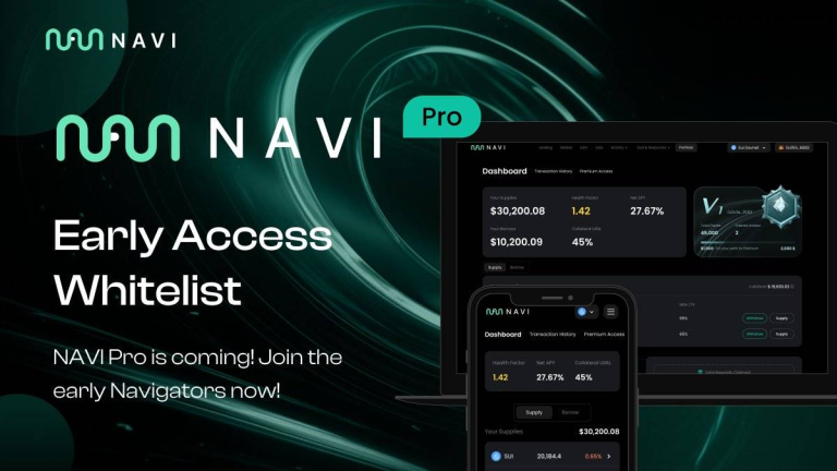 What Is NAVI Protocol: Leading DeFi on Sui Network - CoinRank