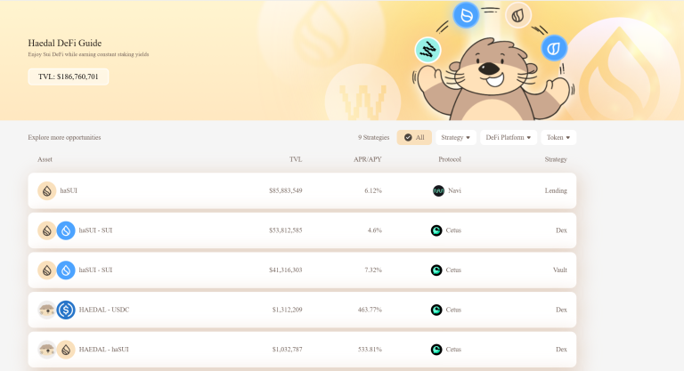 What is Haedal Protocol (HAEDAL) | Everything You Need to Know - CoinRank